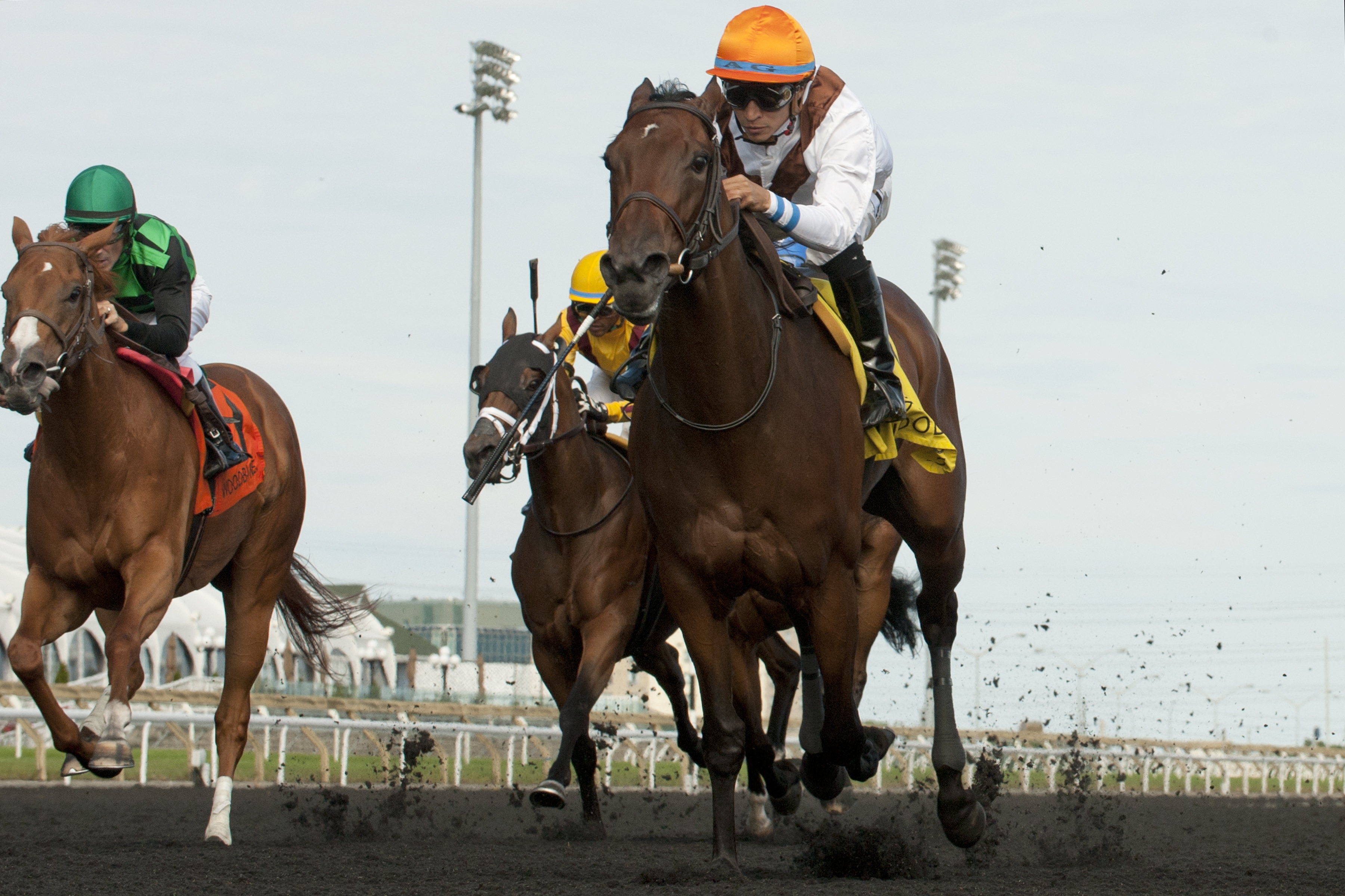 2015 Graded Winners – The Jockey Club Canada